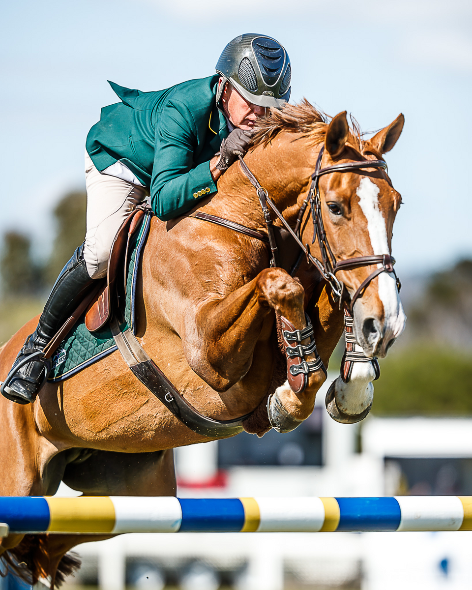 Performance Horses Collection | Equine Products Ireland
